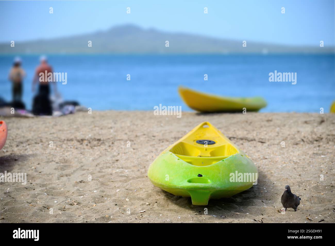 Kayak and bird on the beach. Unrecognizable people enjoying the ...