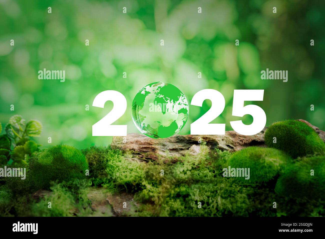 2025 sign with green globe symbol for celebrating enviourment friendly ...