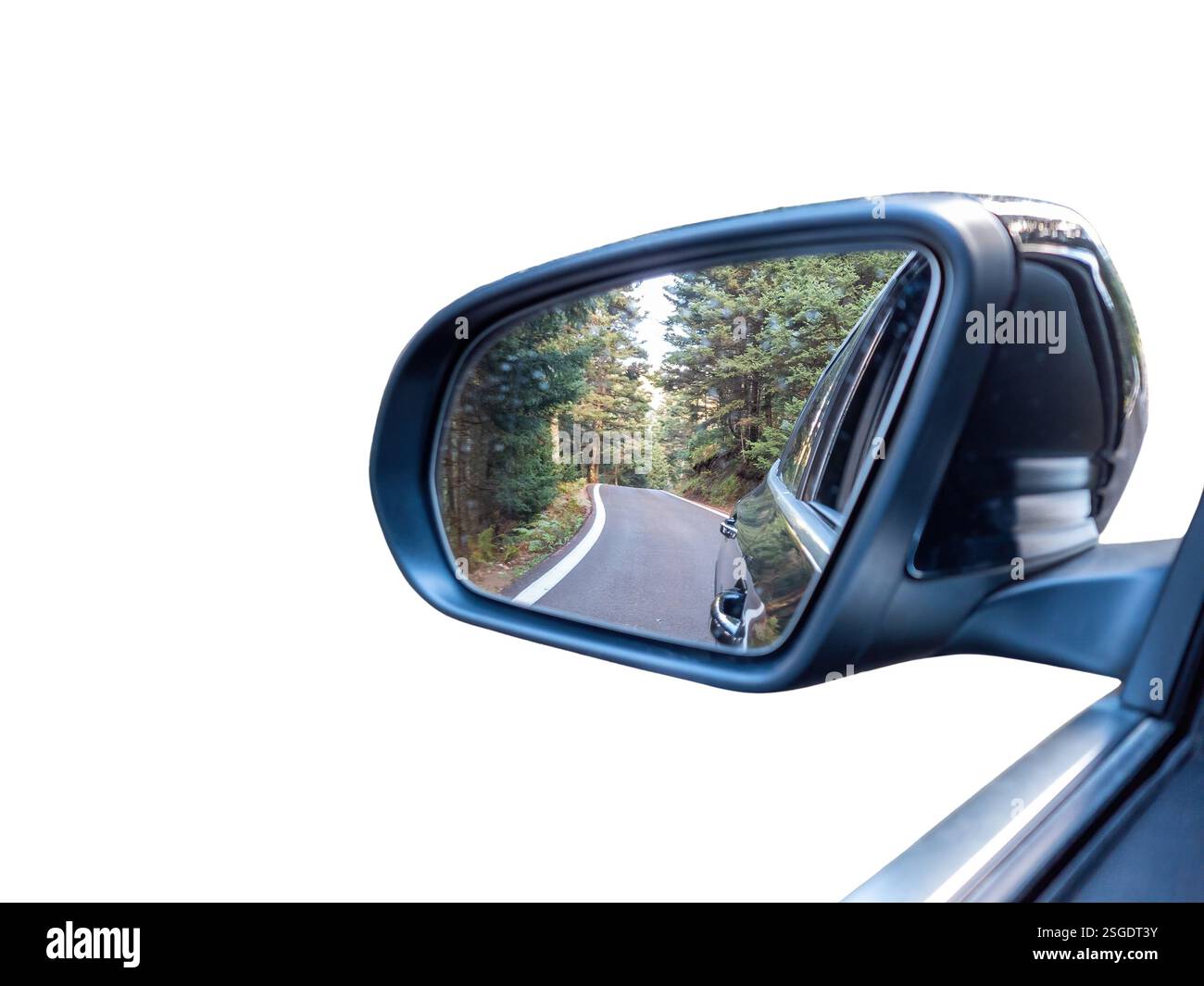 Fir forest and asphalt road rear view in a car side mirror isolated on ...