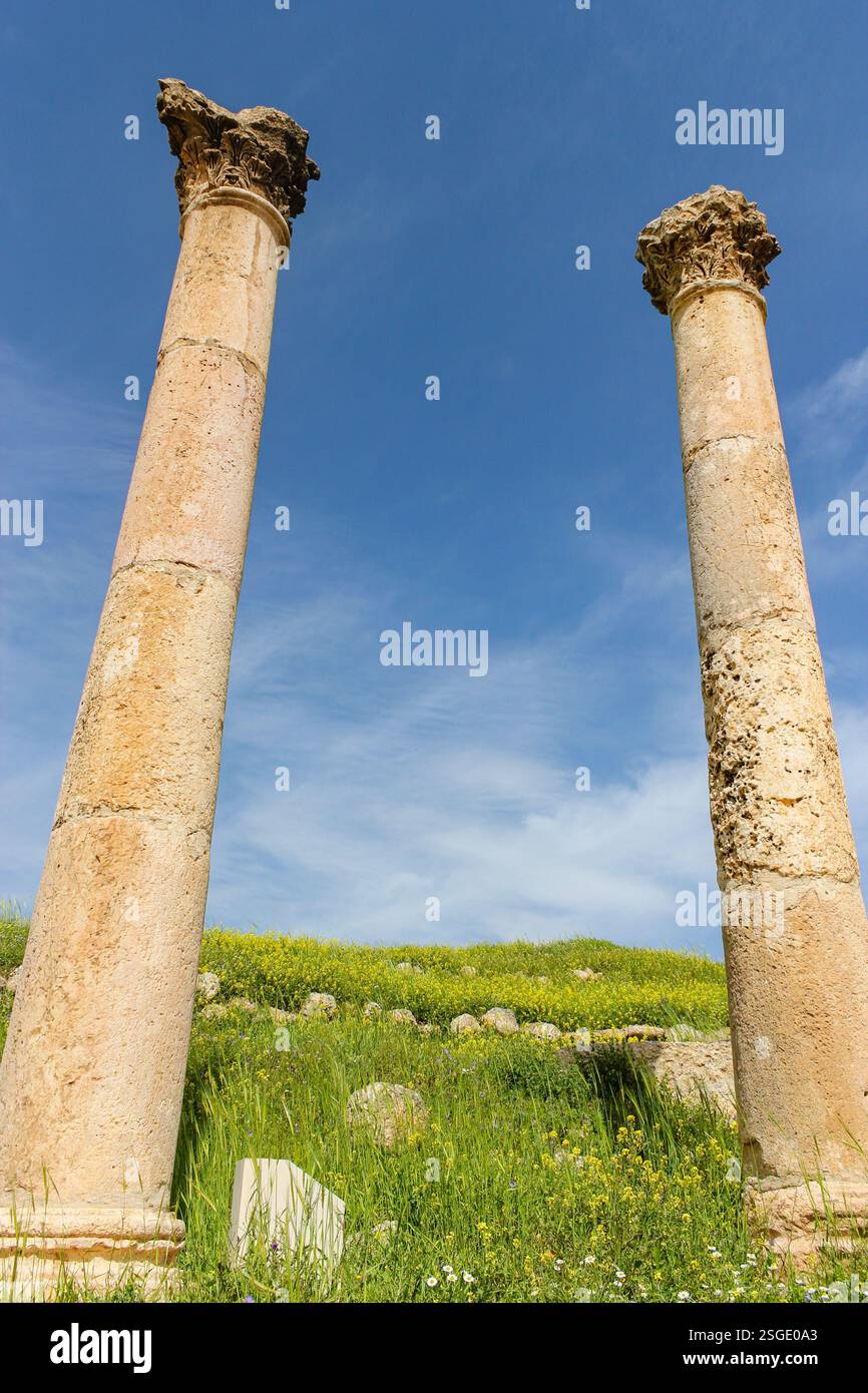 Roman Ruins in Jordan Stock Photo - Alamy