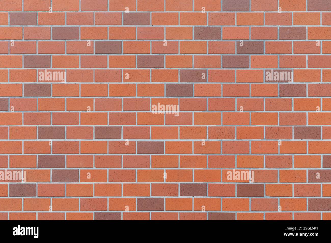 Red ceramic brick for interior and exterior walls Stock Photo - Alamy