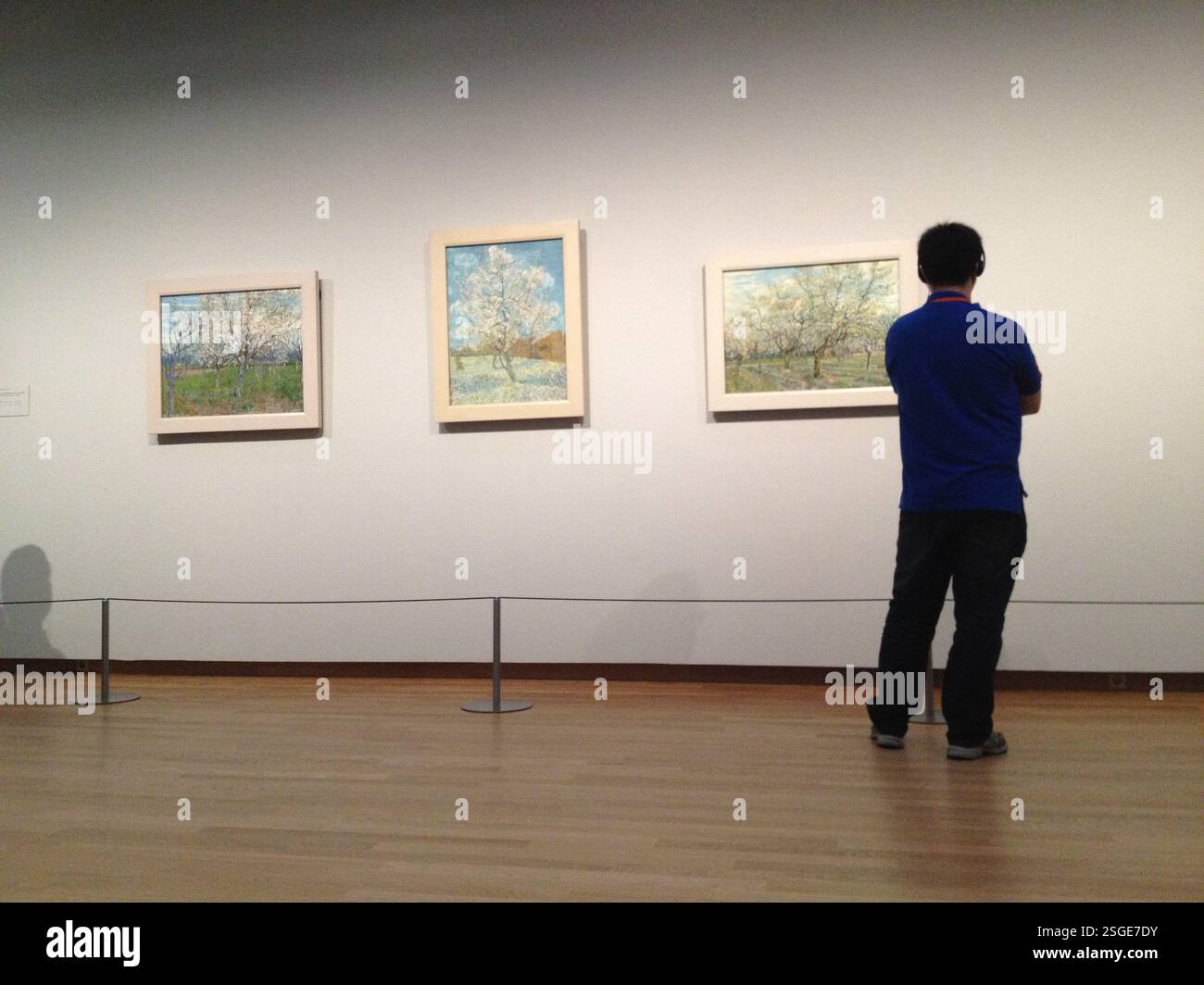 A grand museum stands as a cultural beacon in the heart of Amsterdam ...