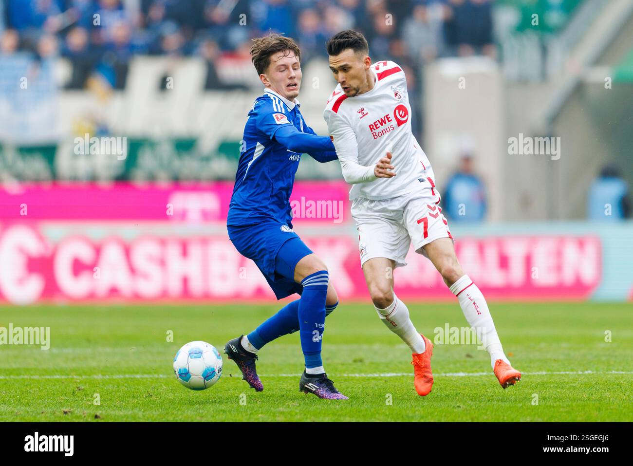 Cologne, Germany. 09th Feb, 2025. Soccer: Bundesliga 2, 1. FC Köln - FC ...