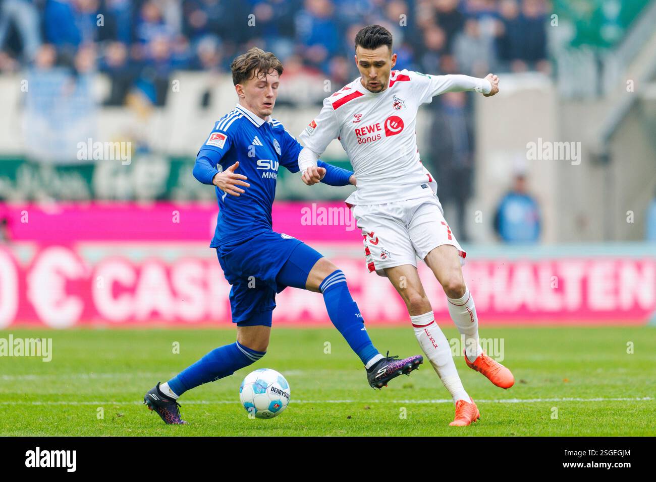 Cologne, Germany. 09th Feb, 2025. Soccer: Bundesliga 2, 1. FC Köln - FC ...