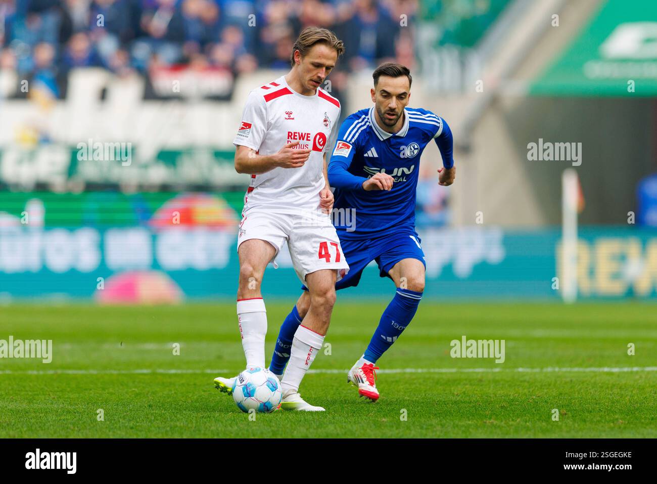 Cologne, Germany. 09th Feb, 2025. Soccer: Bundesliga 2, 1. FC Köln - FC Schalke 04, Matchday 21 ...