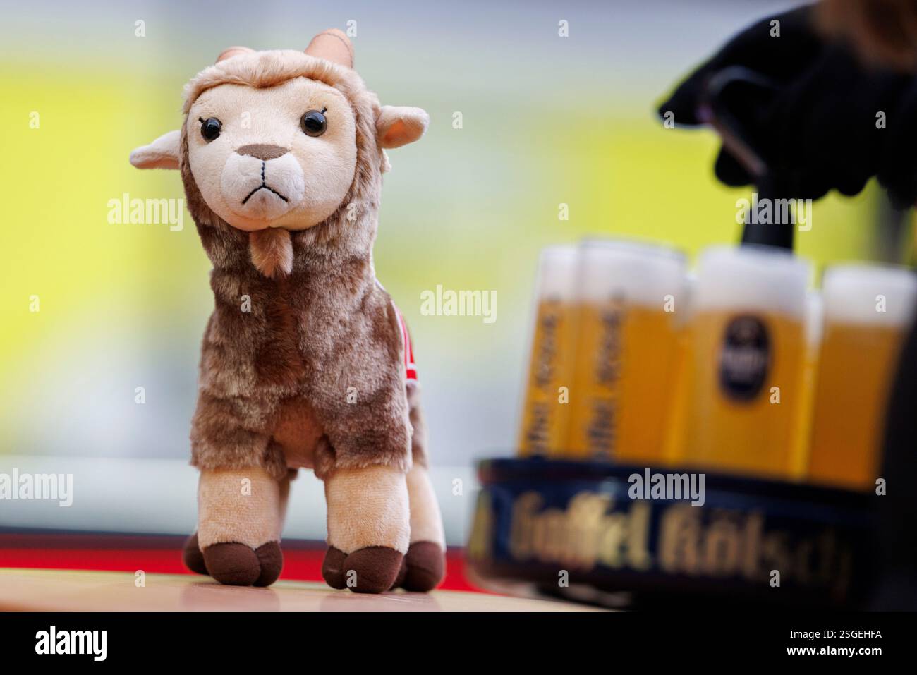 Cologne, Germany. 09th Feb, 2025. Soccer: Bundesliga 2, 1. FC Köln - FC ...