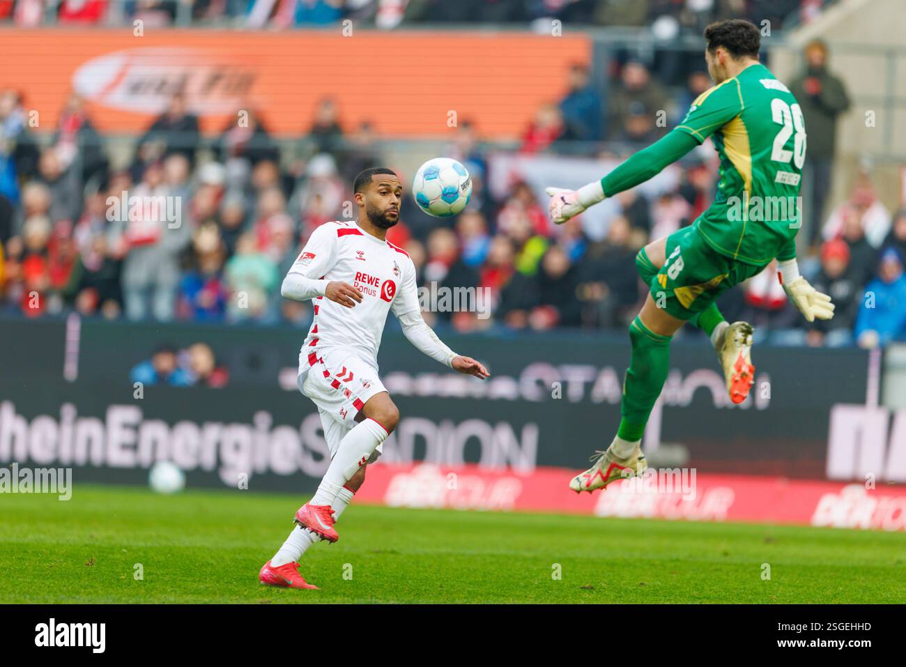 Cologne, Germany. 09th Feb, 2025. Soccer: Bundesliga 2, 1. FC Köln - FC ...