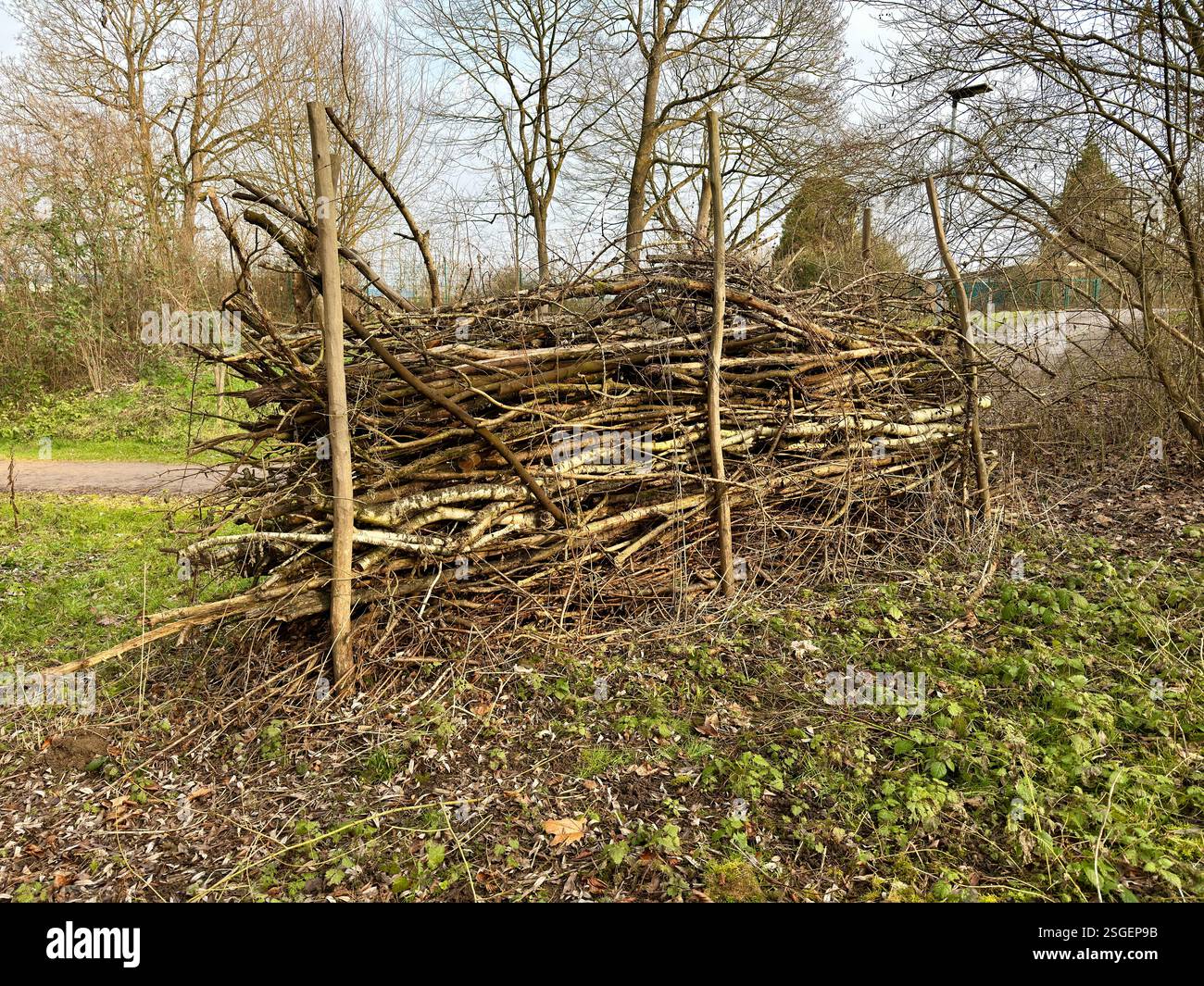 Natural hedge made from deadwood aka Benjeshecke Stock Photo - Alamy