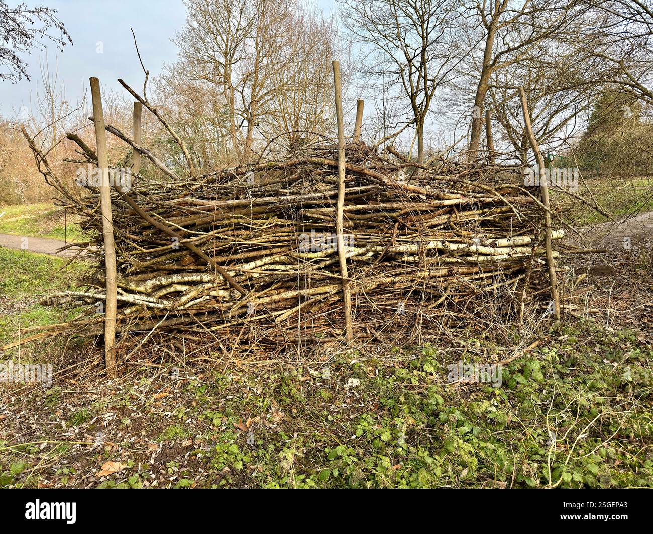 Natural hedge made from deadwood aka Benjeshecke Stock Photo - Alamy
