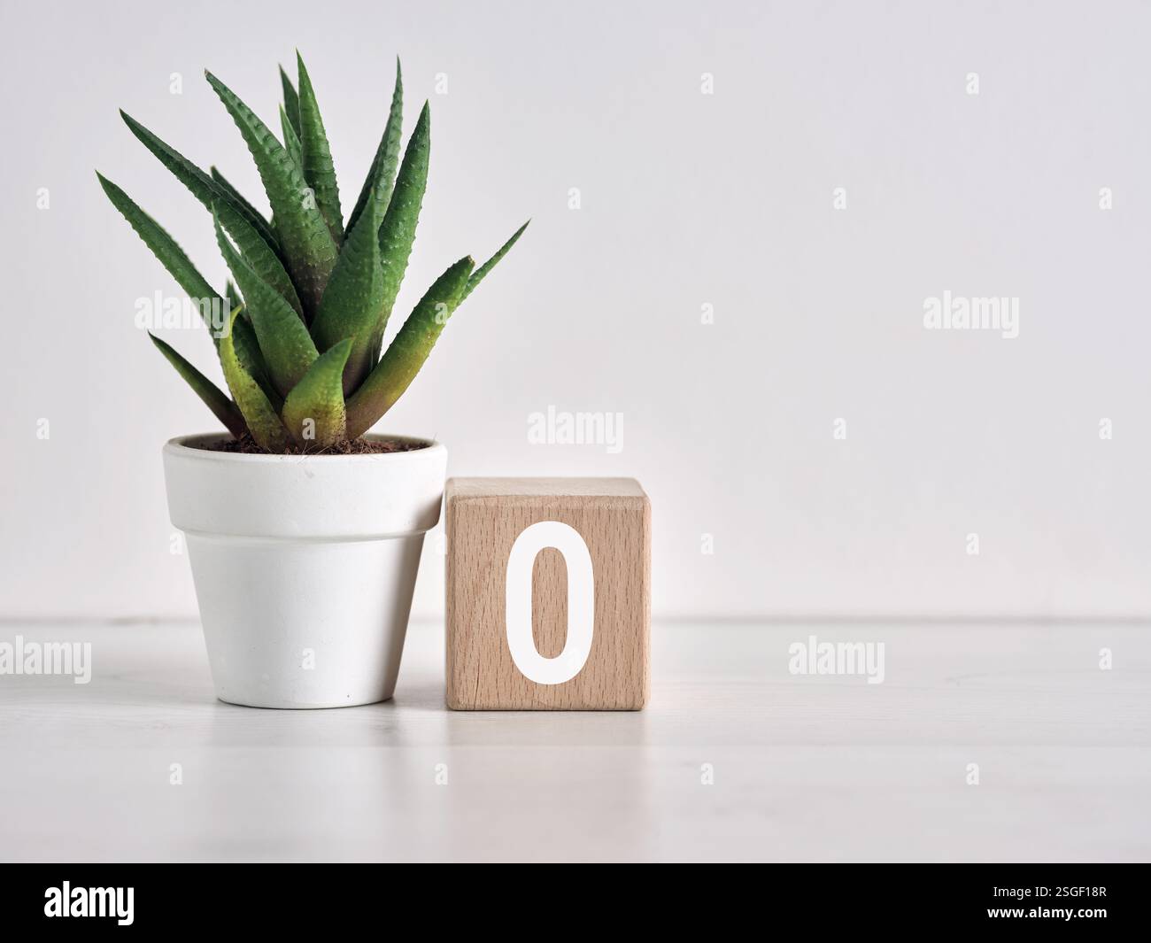 Wooden block with zero number next to a succulent plant in a white pot ...