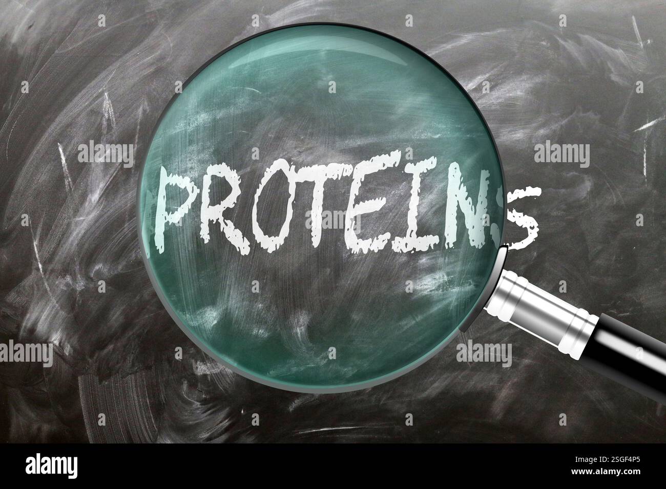 Proteins - learn, study and inspect it. Taking a closer look at ...