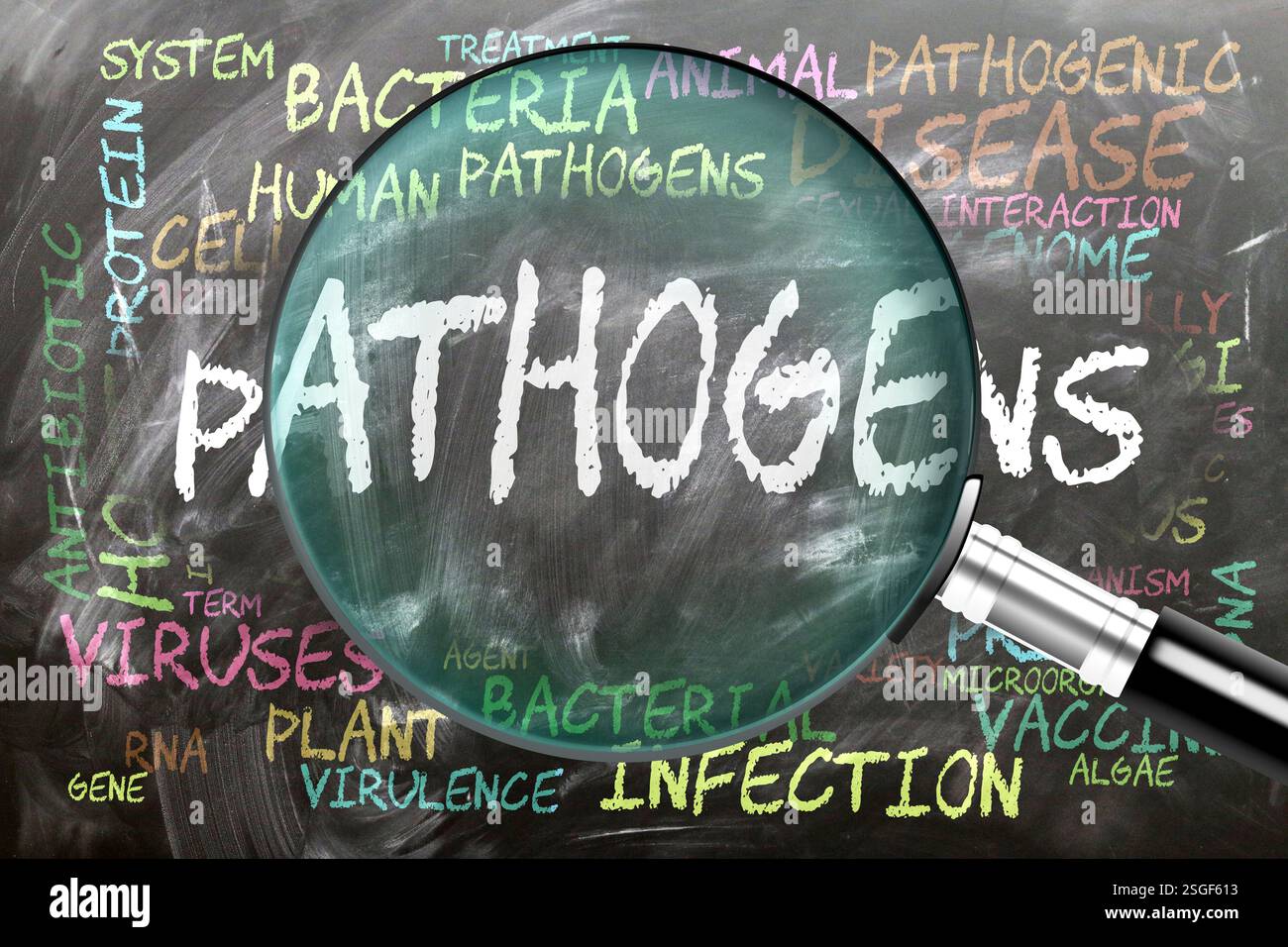 Streptococcus virulence hi-res stock photography and images - Alamy