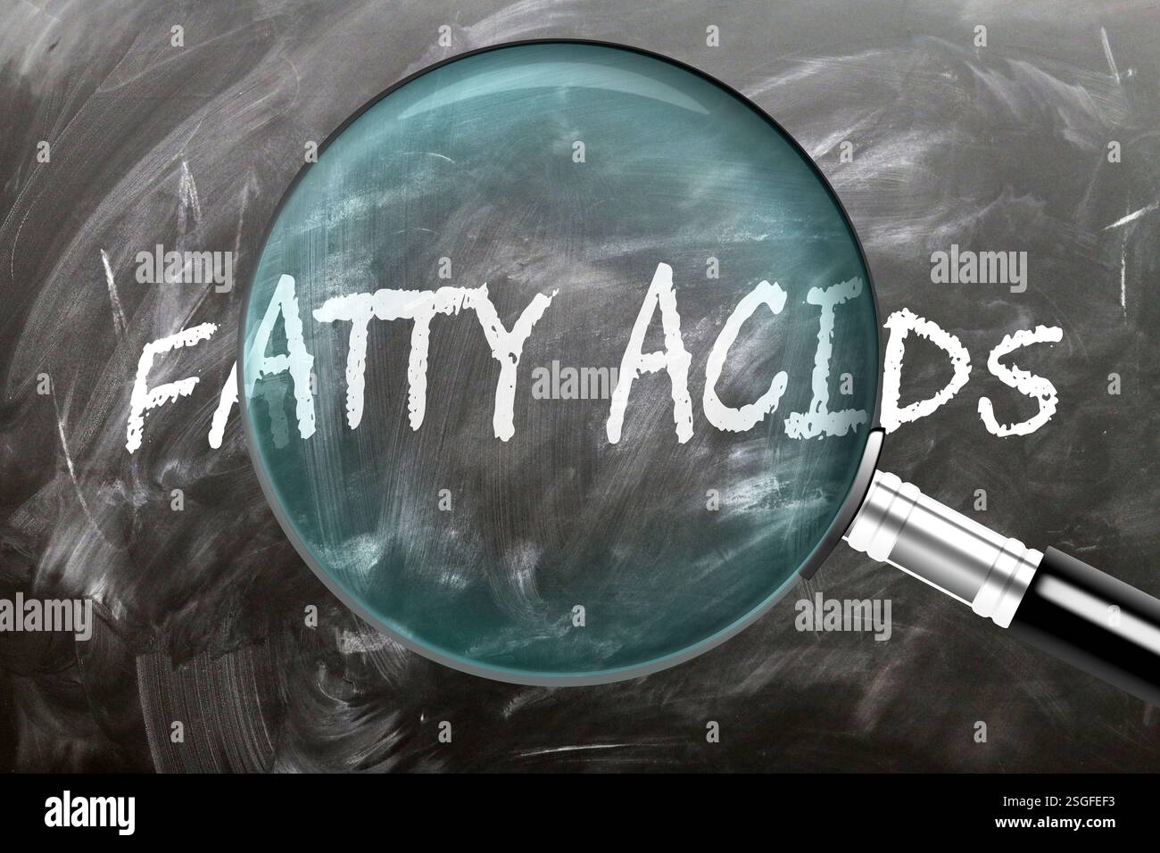 Fatty Acids - learn, study and inspect it. Taking a closer look at ...