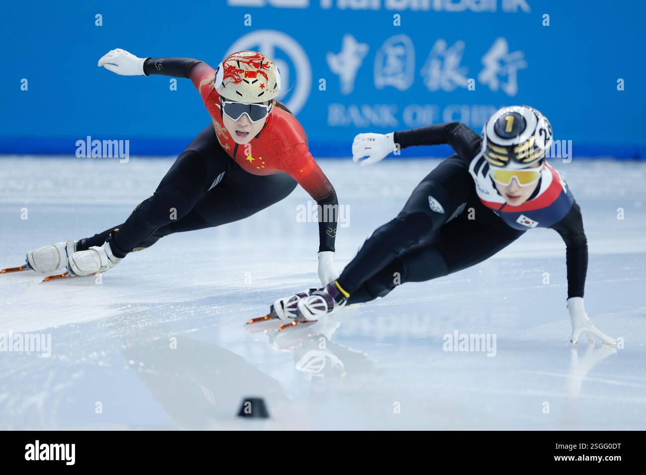 Harbin,China.9th February 2025. Gong Li #3 of China competes in the ...
