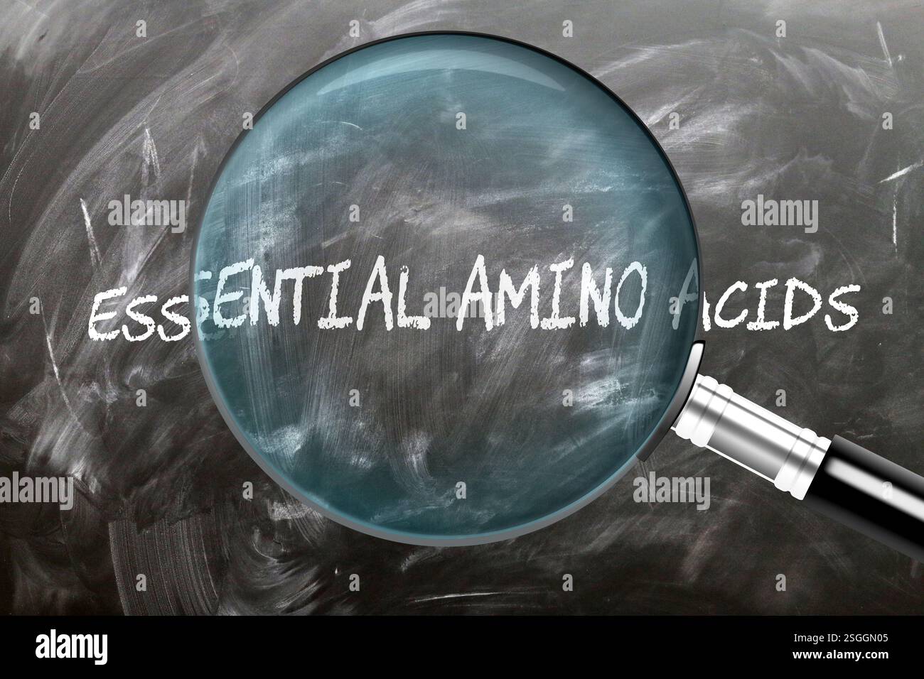 Essential Amino Acids - learn, study and inspect it. Taking a closer ...