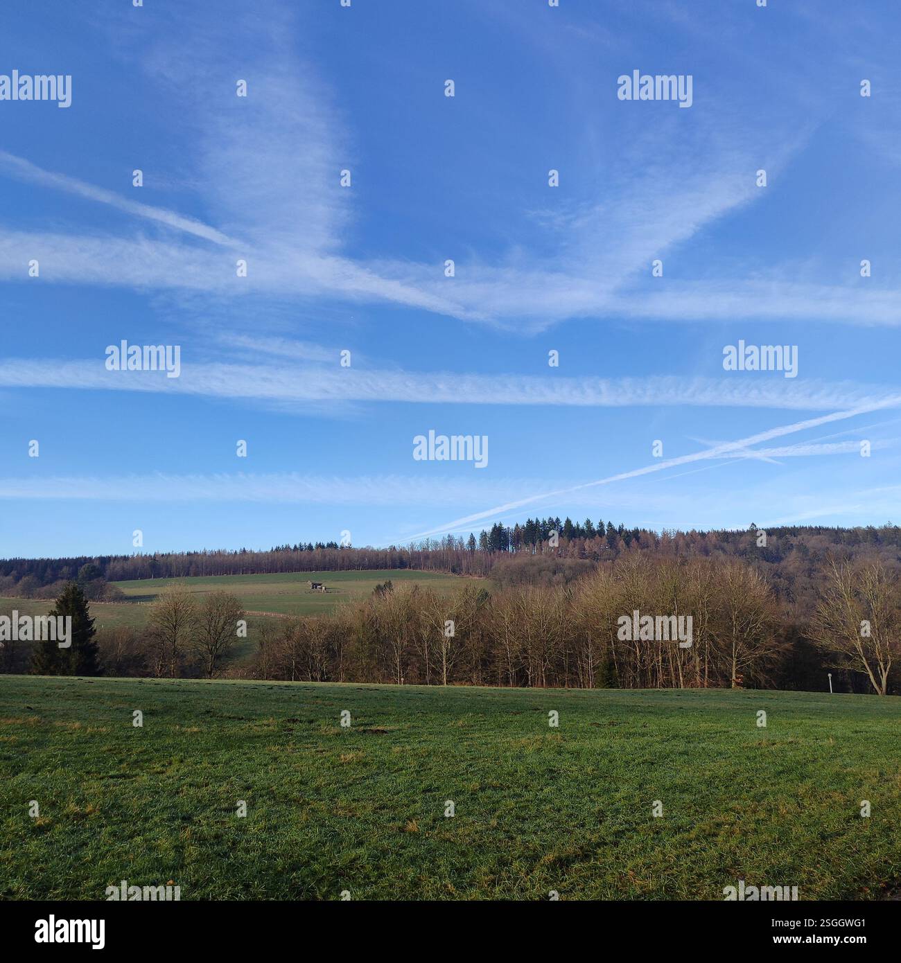 Eine wiese im winter hi-res stock photography and images - Alamy