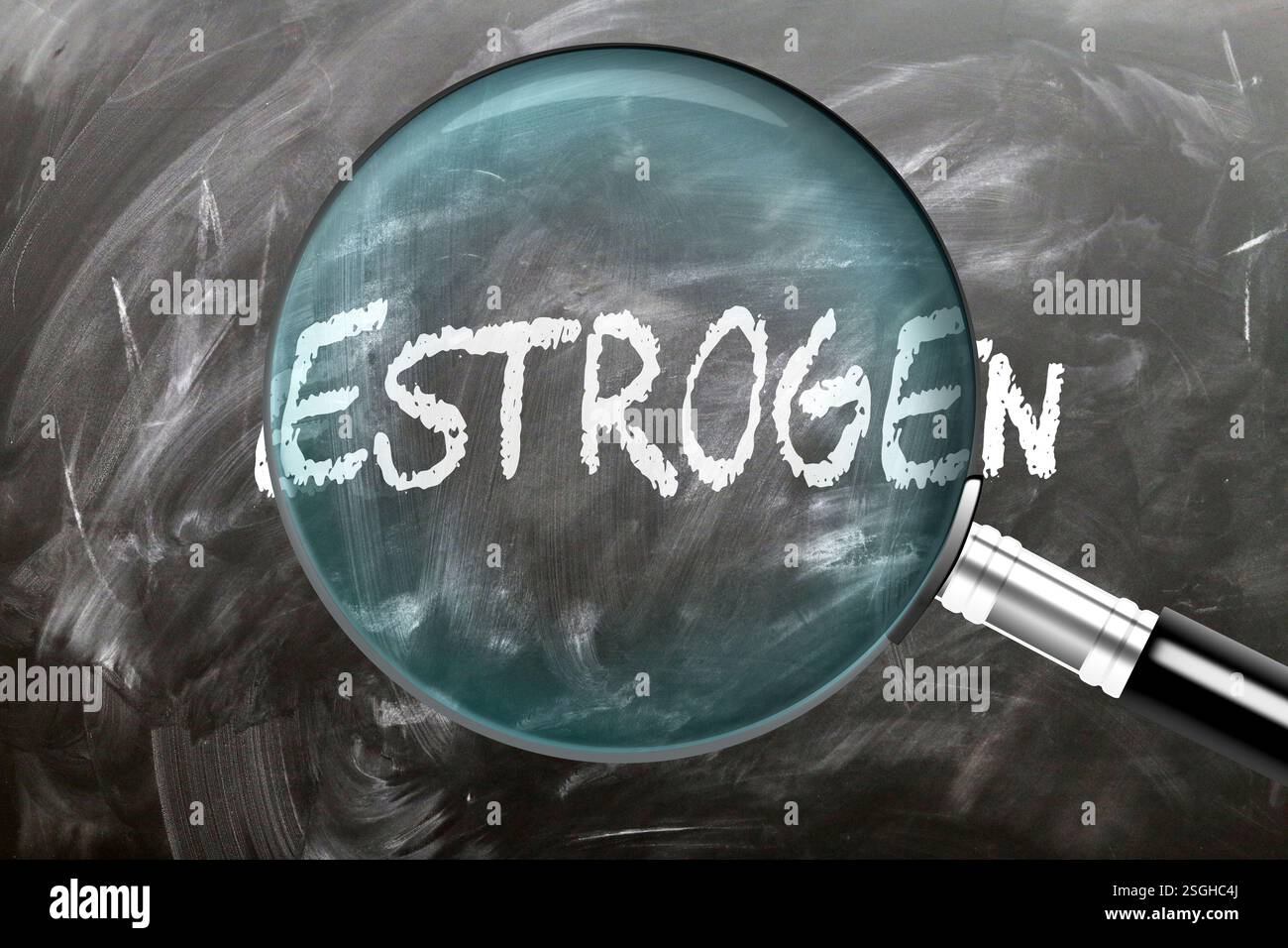 Estrogen learn hi-res stock photography and images - Alamy