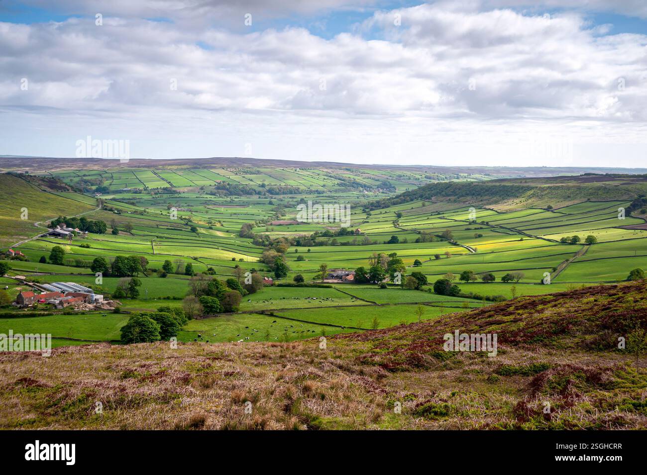 Little Fryup Dale Stock Photo - Alamy