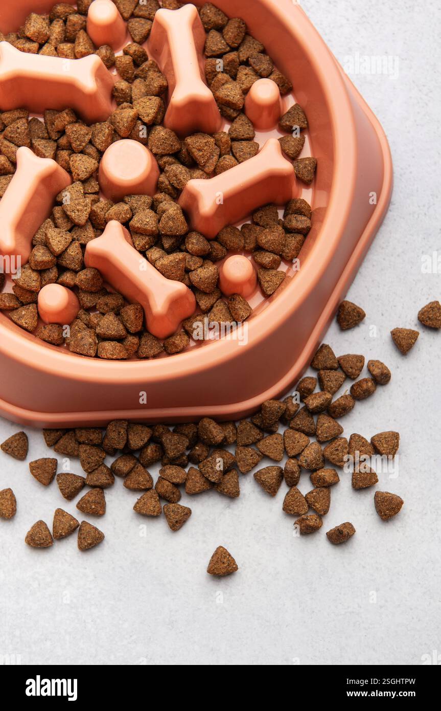 Dry dog food in a slow feeder bowl promoting healthy eating habits ...