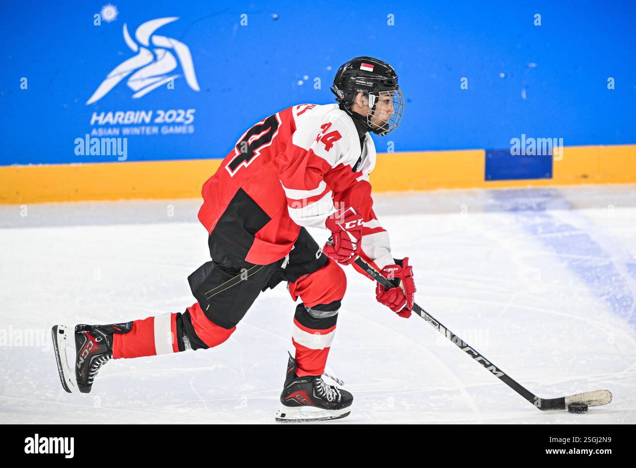Harbin, China's Heilongjiang Province. 10th Feb, 2025. Noah Allen Nizam ...