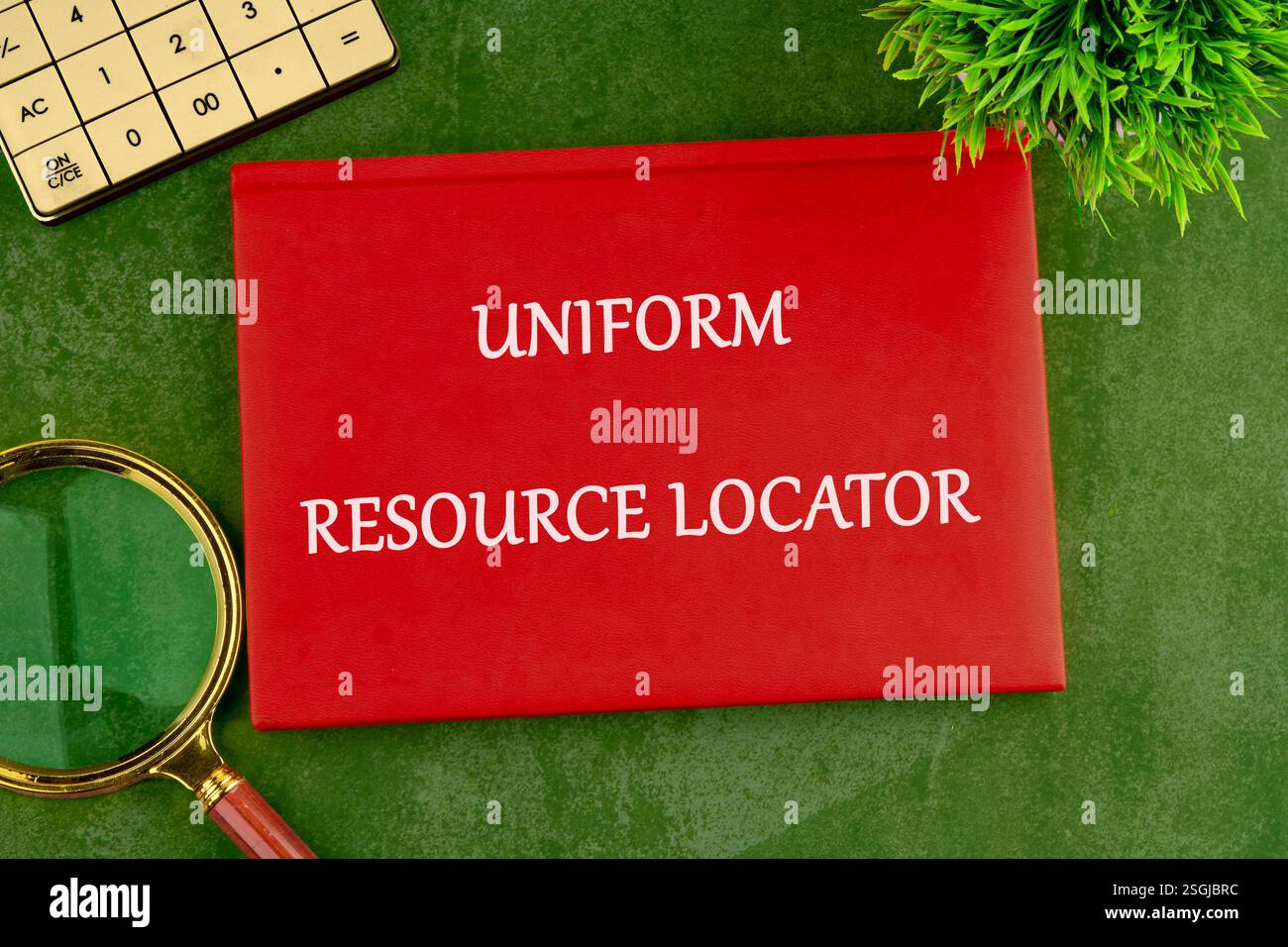 Exploring the concept of uniform resource locators as essential ...