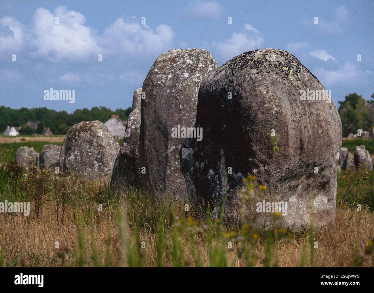 Giant boulders (megaliths) at the incredible neolithic site of Carnac ...