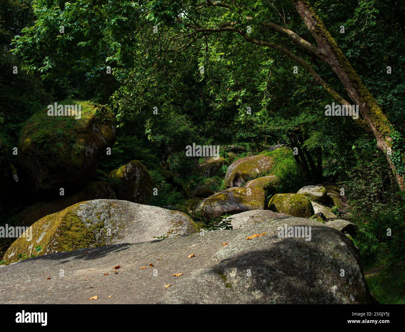 Rocks and boulders in Huelgoat Forest, a place of Arthurian legend and ...
