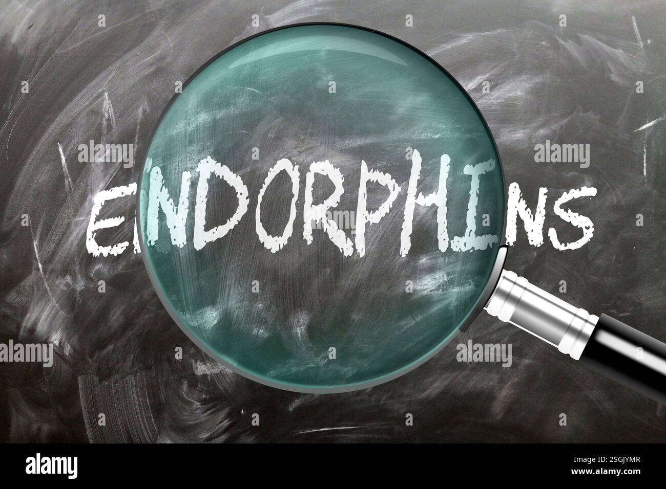 Endorphins - learn, study and inspect it. Taking a closer look at ...