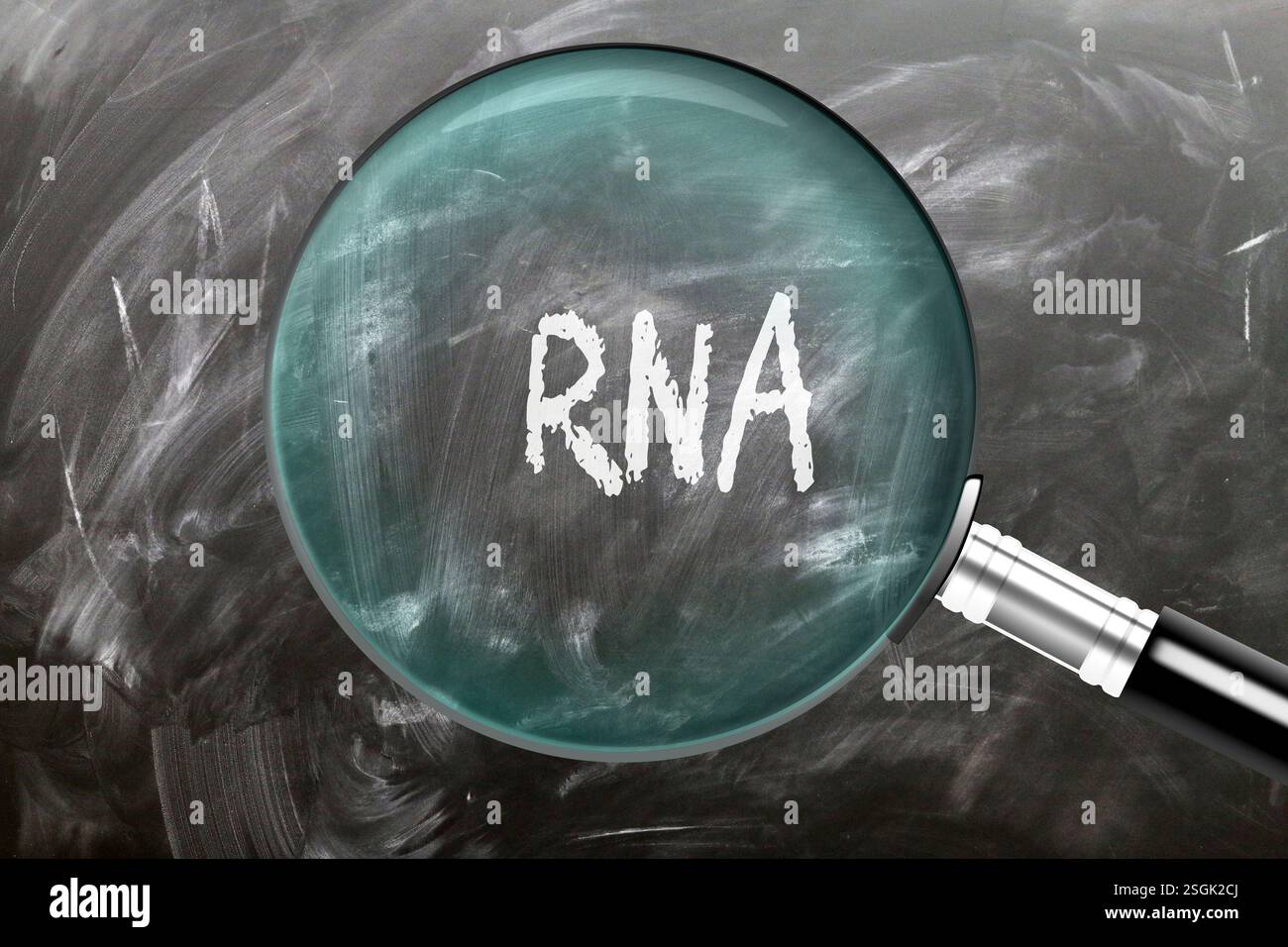 Rna - learn, study and inspect it. Taking a closer look at rna. A ...