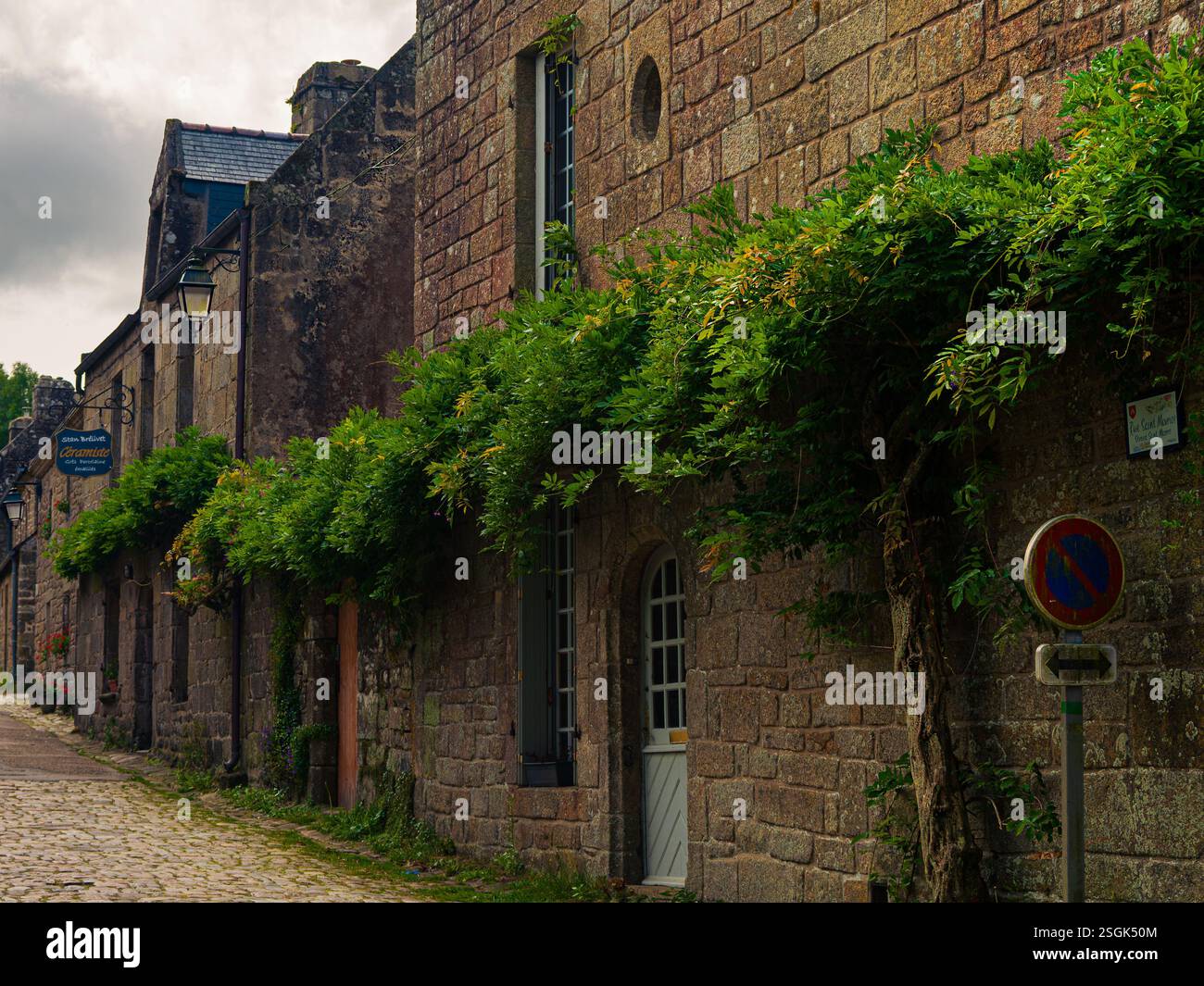 A row of pretty medieval houses with vines creeping up the walls in the ...
