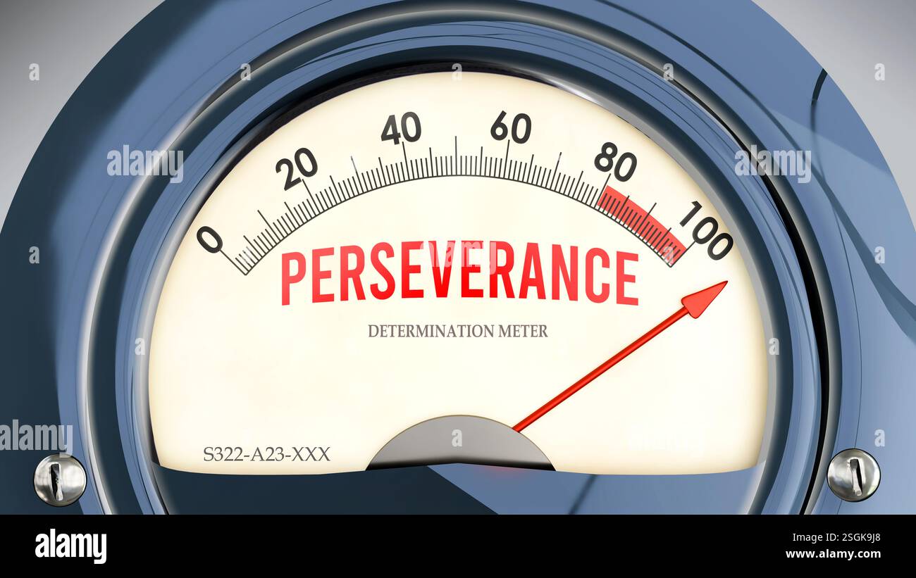 Perseverance and Determination Meter that is hitting a full scale ...