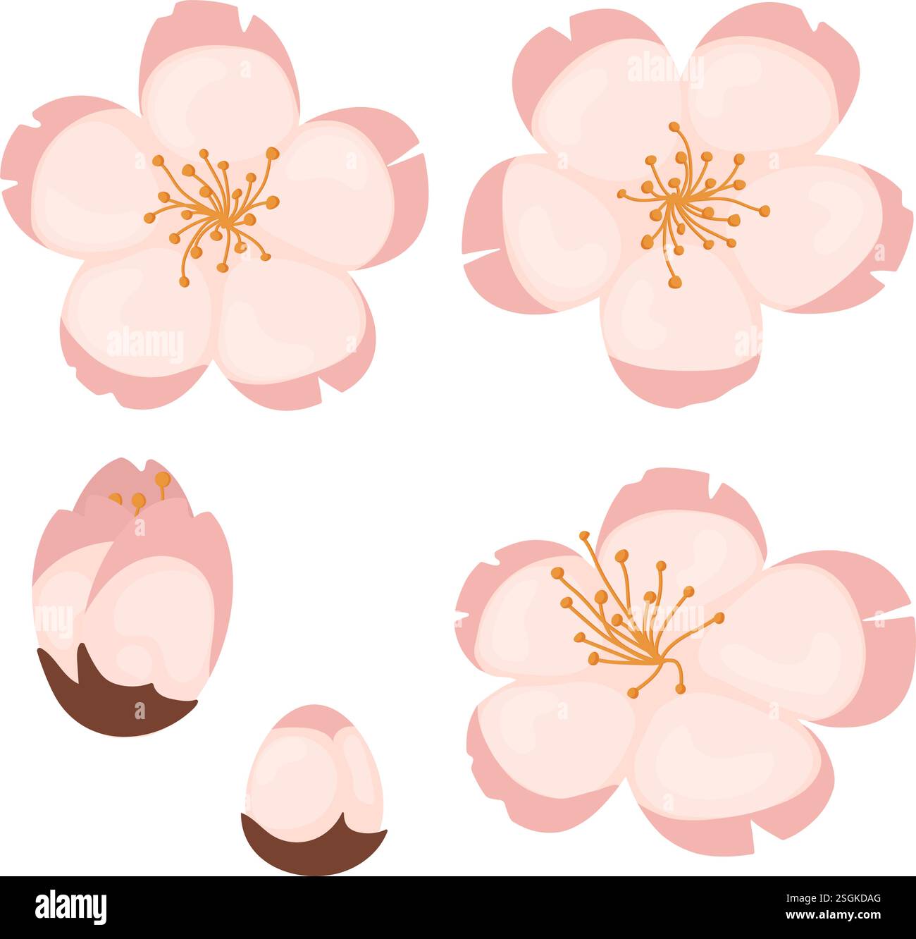 Spring hanami Stock Vector Images - Alamy