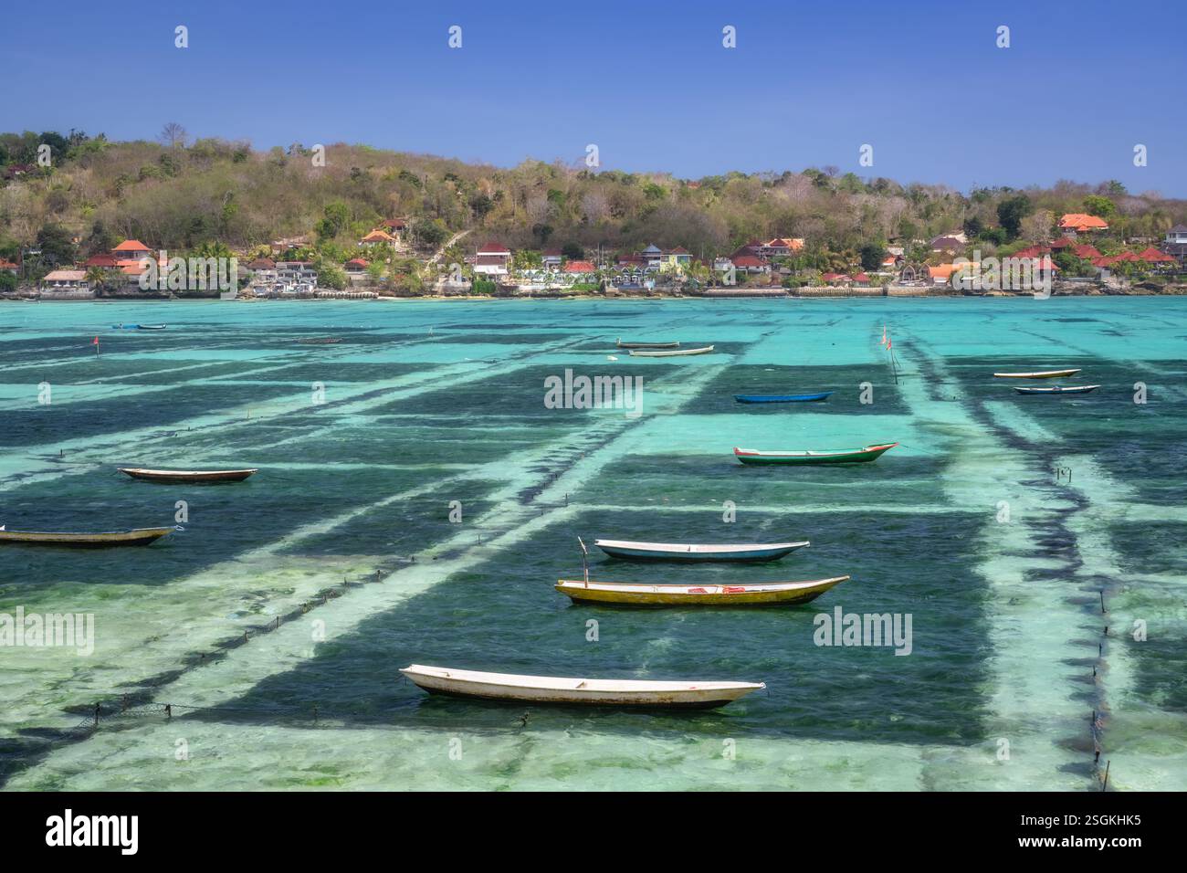 A stunning coastal scene features seaweed farms, colorful boats on ...