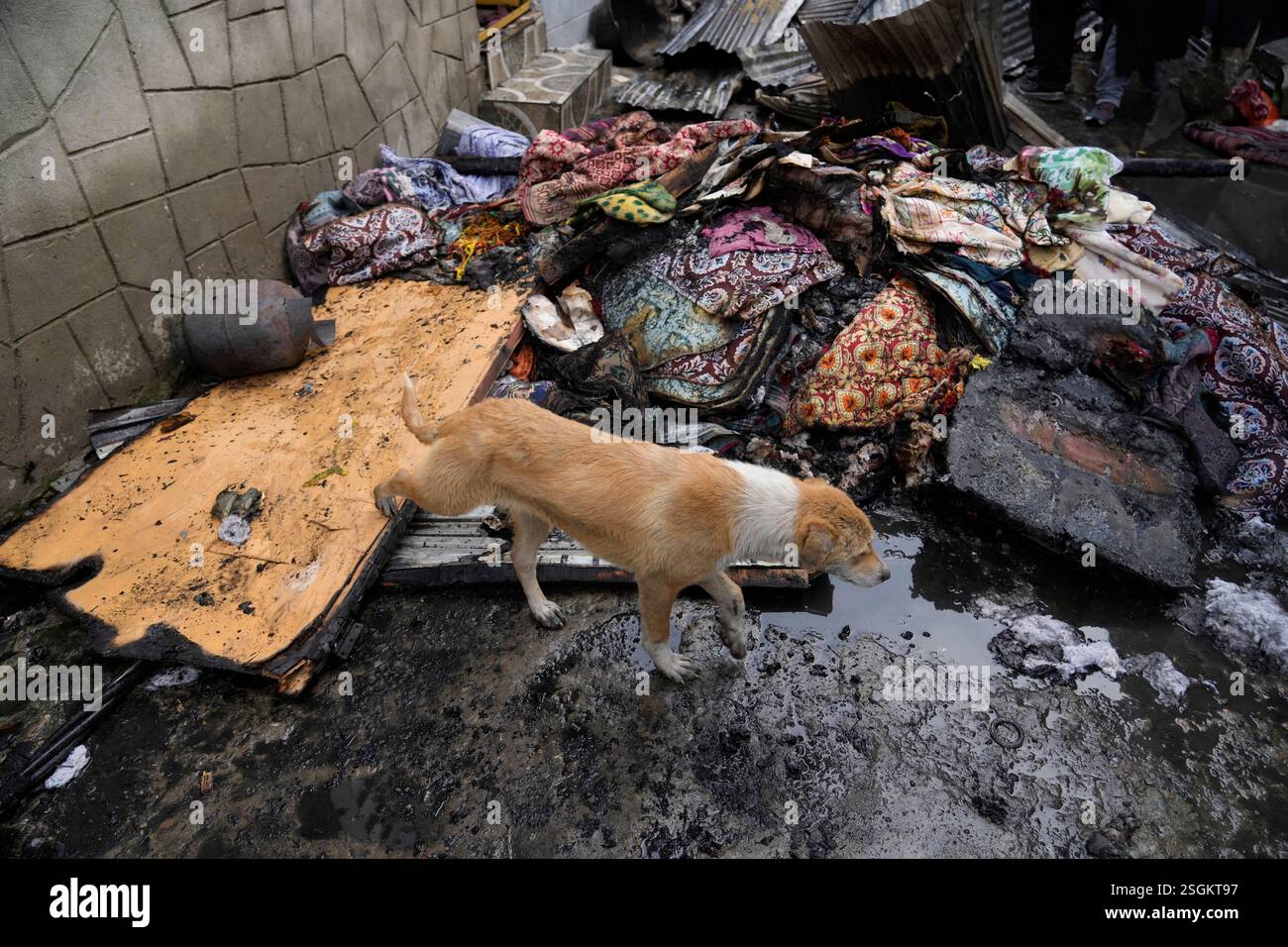 A stray dog walks near the rubble of a damaged house during a fire on ...