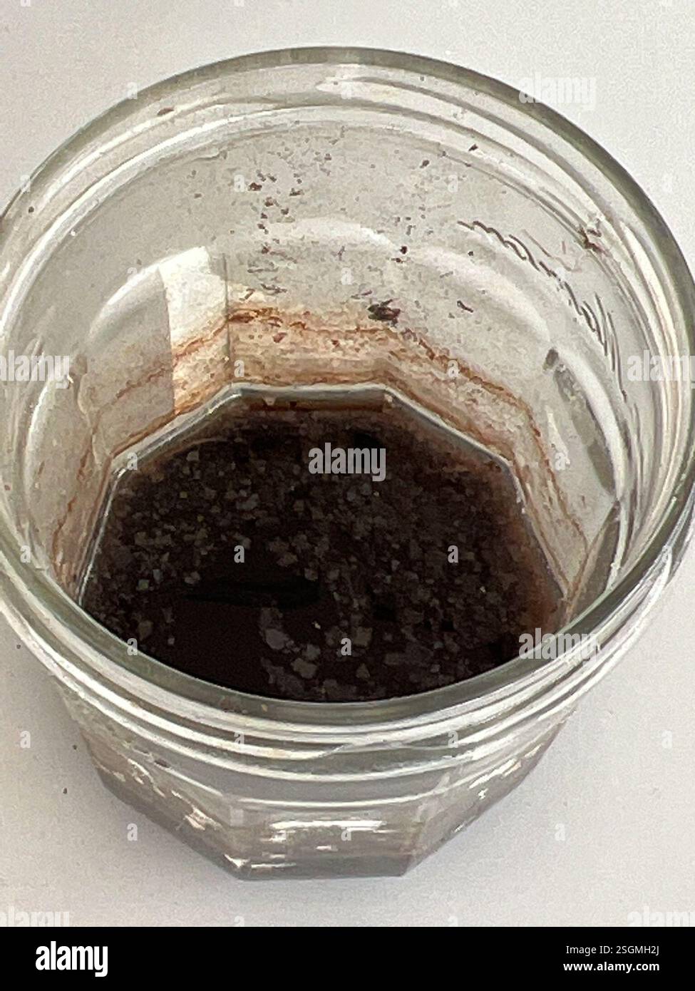 bacteria (Bacteria), , , From a batch of compost tea using decomposed ...