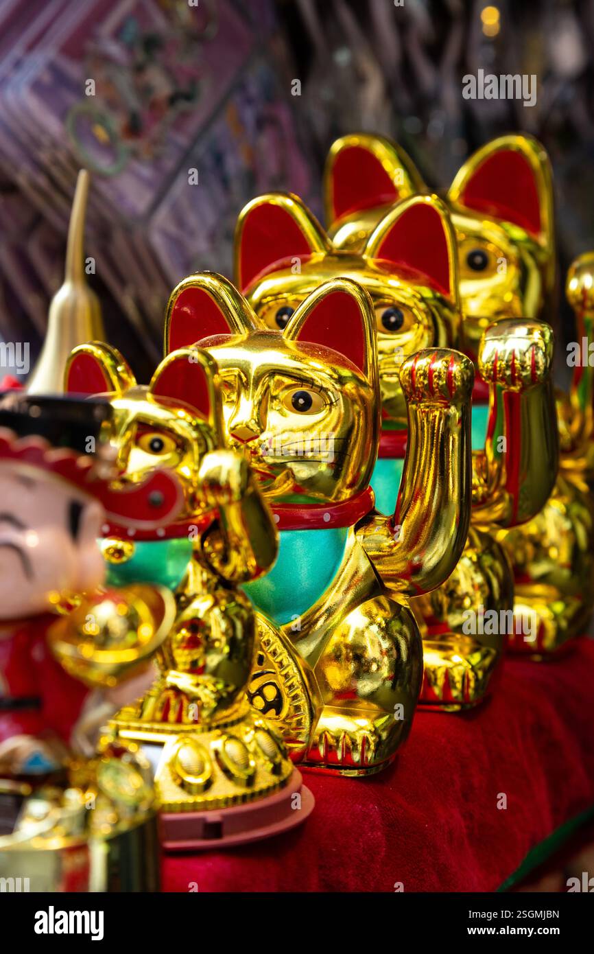 Golden lucky cats (Maneki-neko) formed by sizes Stock Photo - Alamy