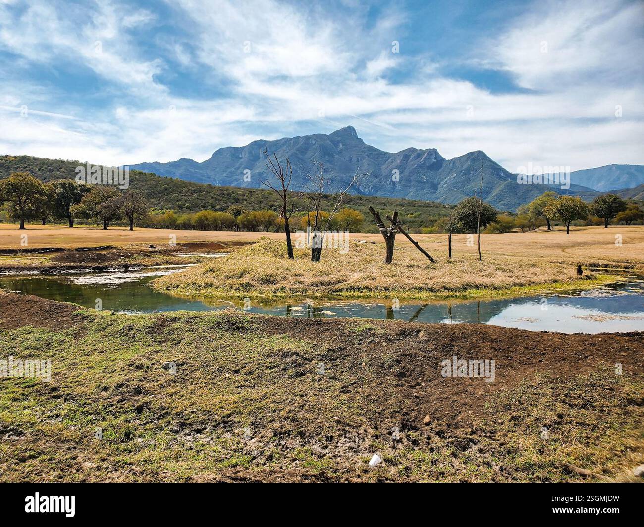 Small lagoon in the middle of the African savannah Stock Photo - Alamy