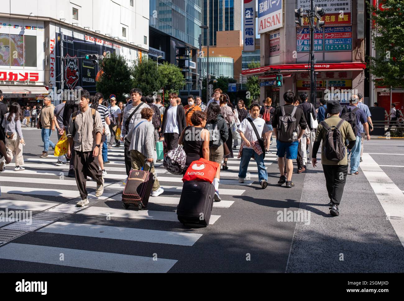 Shoppers in Akihabara Tokyo Japan Stock Photo - Alamy