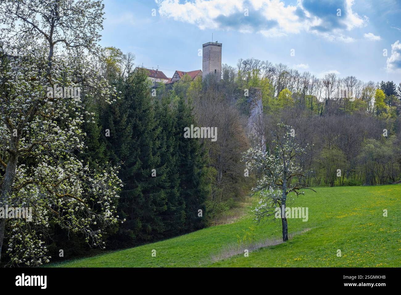 Burg Reichenstein, Schwäbsiche Alb, Deutschland Burg Reichenstein und ...