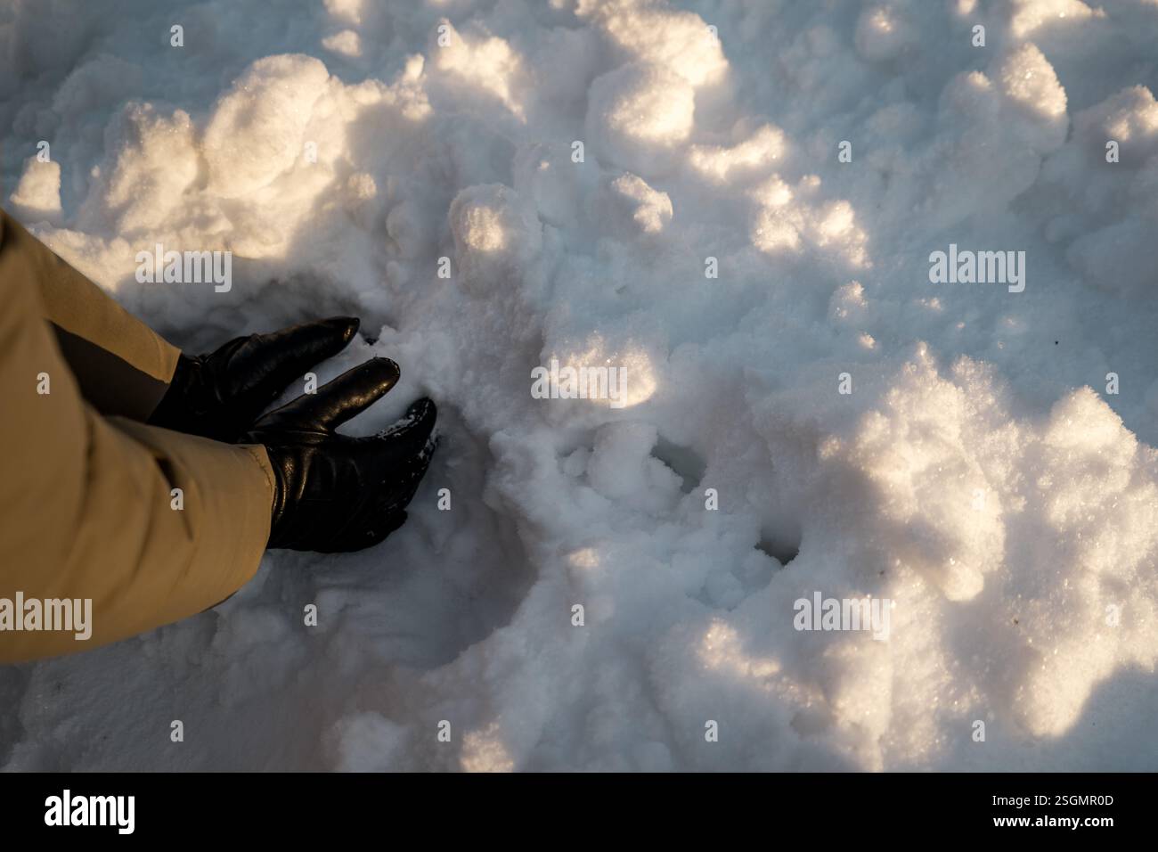Hands forming a snowball on snowy ground in Oslo Stock Photo - Alamy