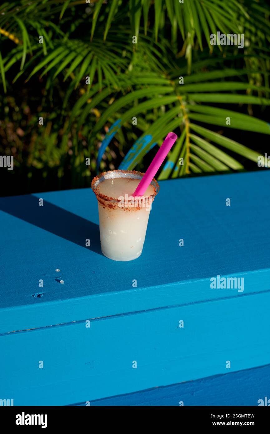 Tropical leaves against setting hi-res stock photography and images - Alamy