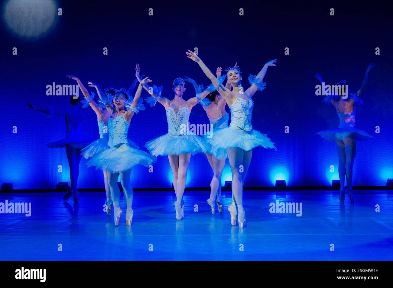 Ballet dancers in blue tutus gracefully perform on a stage with ...