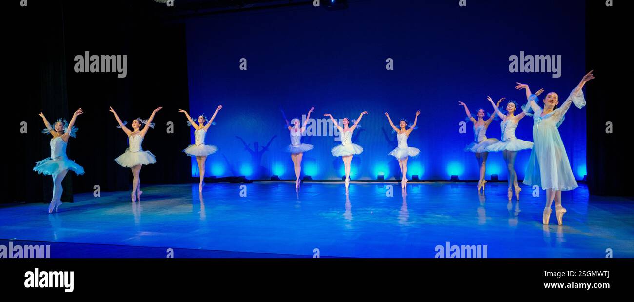 Ballet dancers in elegant tutus posing gracefully on a well-lit stage ...