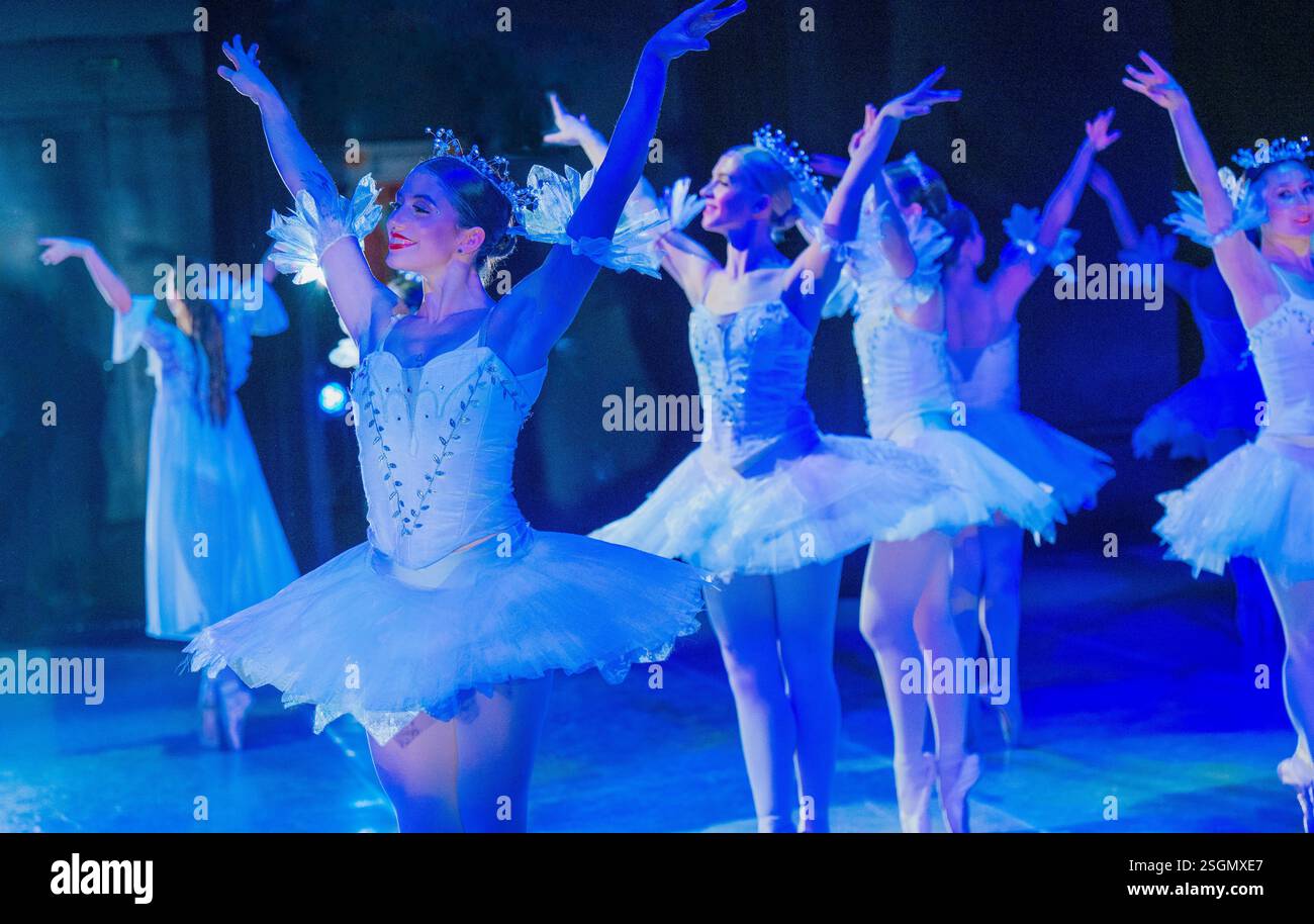 Ballet dancers in elegant white tutus performing on a stage under blue lighting. The Nutcracker ...