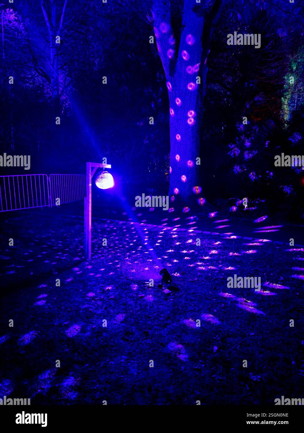 Disco ball party concept hi-res stock photography and images - Alamy