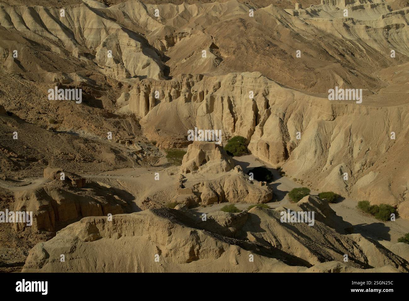 Arid desert landscape with rugged cliffs and sparse vegetation under ...