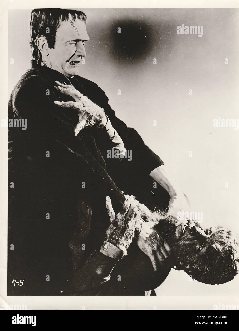 Frankenstein Meets the Wolf Man (Universal, 1943)Lon Chaney Jr. returns ...