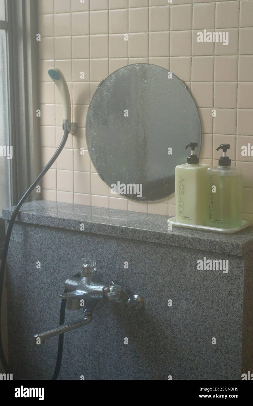 A shower area with a round mirror, soap dispensers, and a handheld ...