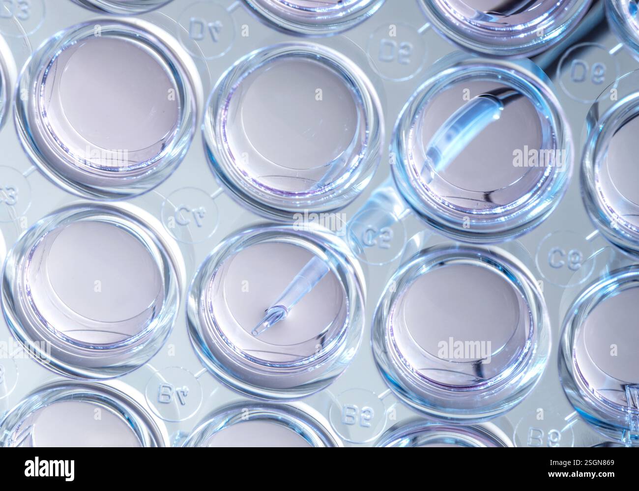 Biomedicine, Scientist preparing cells in growth medium in the lab ...