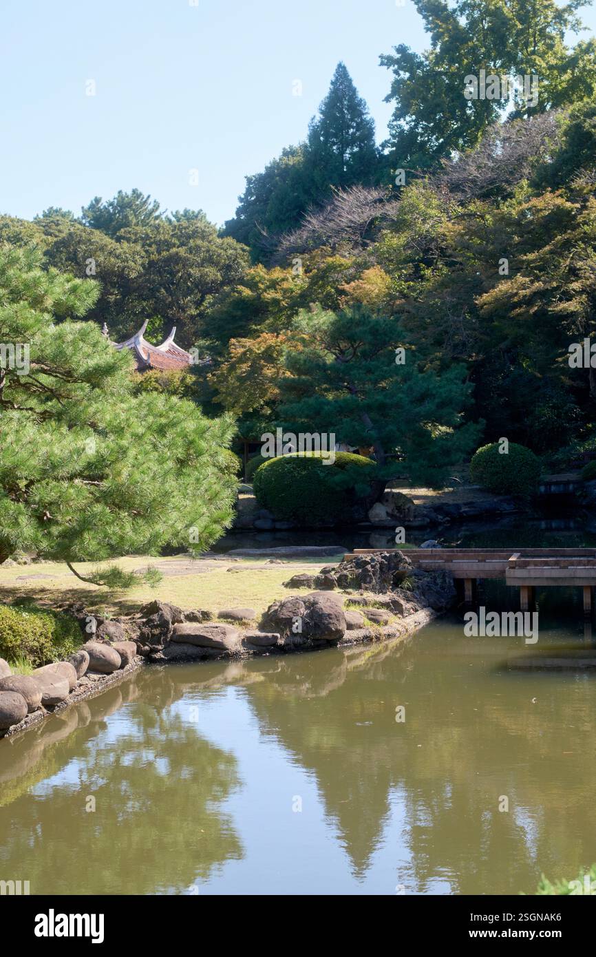 Tranquil Japanese garden with lush greenery and a reflective pond under ...